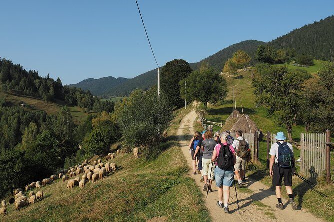 Village life in Transylvanian Carpathian mountains - 8 days - Who Will Love This Experience?