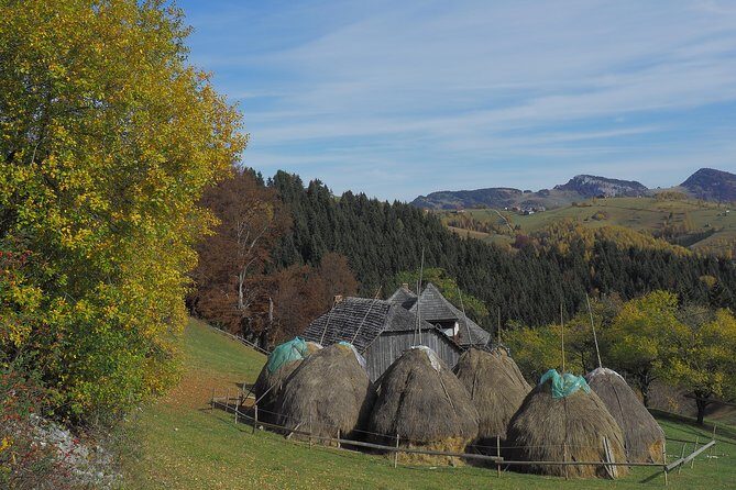 Village life in Transylvanian Carpathian mountains - 8 days - Final Thoughts