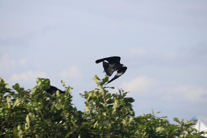 Village Life Tour from Siem Reap - Frequently Asked Questions