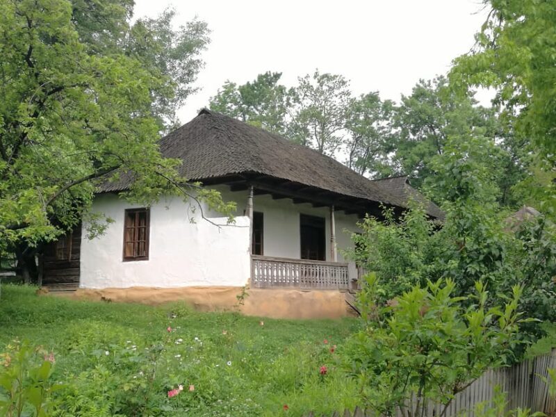 Village Museum Bucharest Guided Tour - Final Thoughts: Is This Tour Worth It?