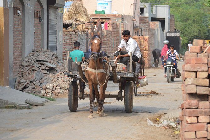 Village Snapshot - Pure and simple - An In-Depth Look at the Village Experience