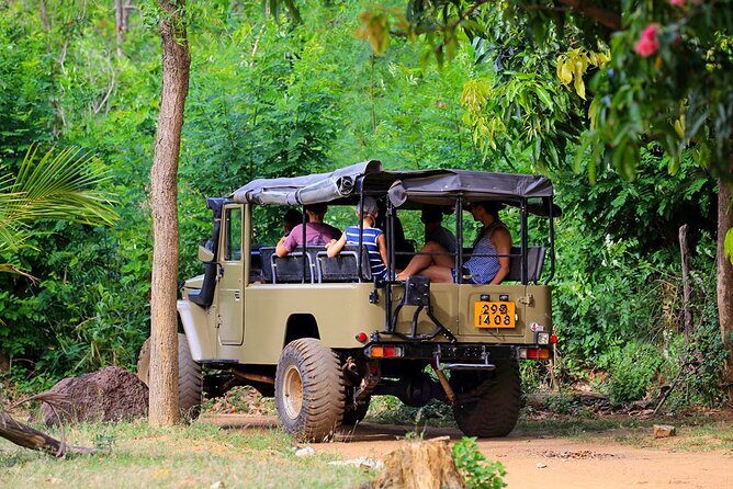 Village Tour by Classic Jeep from Habarana - A Genuine Look at the Village Tour by Classic Jeep from Habarana