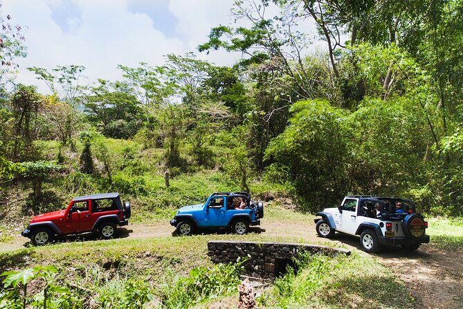 Village Tour by Classic Jeep from Habarana - An In-Depth Look at the Village Jeep Tour