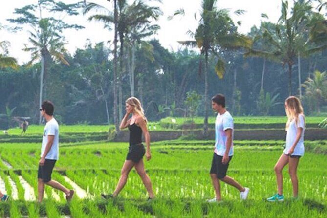 VILLAGE TOUR & RICE FIELDS TREKKING Jambangan Bali - Setting the Scene: What You Can Expect