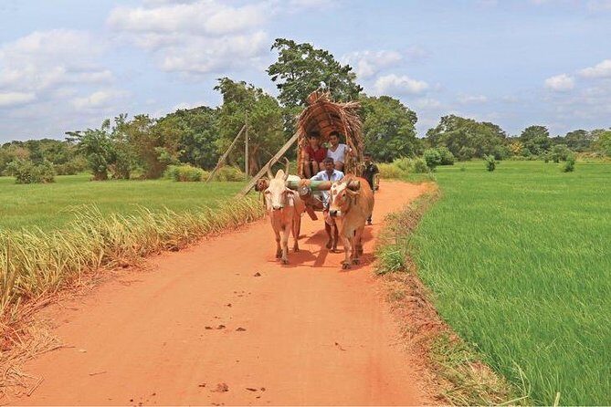 Village Trekking Tour Sigiriya - Who Will Love This Tour?