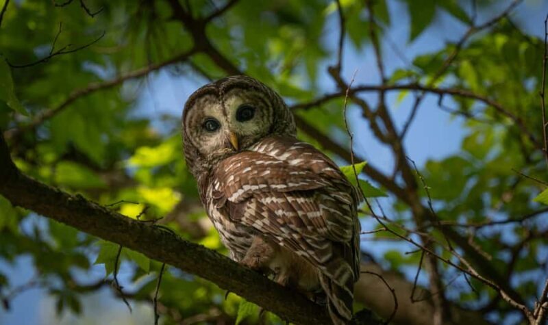 Village, Wild Life & Lake Visit Tour from Hambantota Port - Key Points