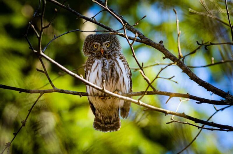 Village, Wild Life & Lake Visit Tour from Hambantota Port - In The Sum Up