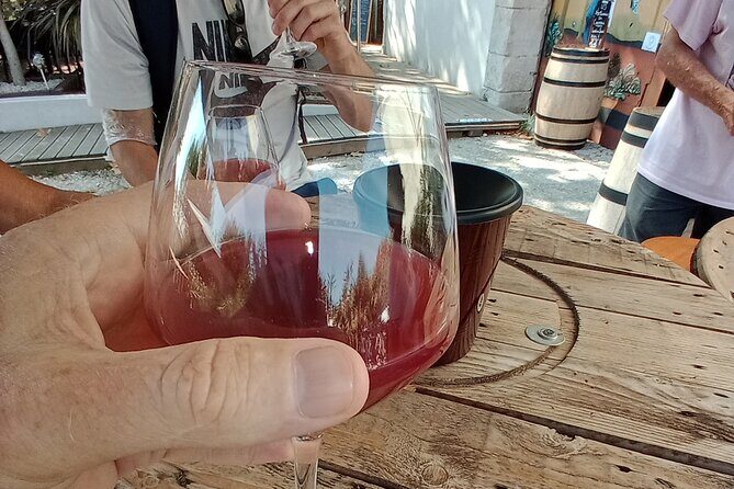Villages and wine tasting around the Pic Saint Loup - The Itinerary in Detail