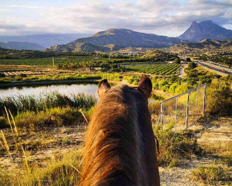 Villajoyosa Horseback Riding in the Mountains with sea views - Key Points