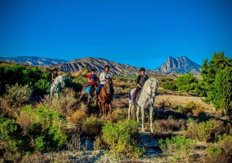 Villajoyosa Horseback Riding in the Mountains with sea views - Authentic Experiences from Riders