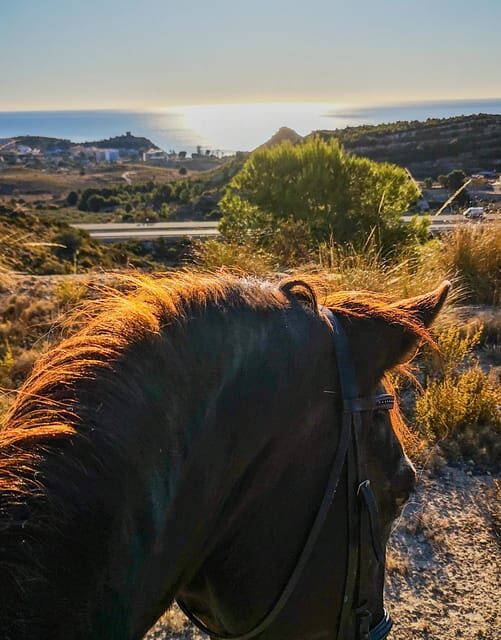 Villajoyosa Horseback Riding in the Mountains with sea views - Authenticity and Local Flavor