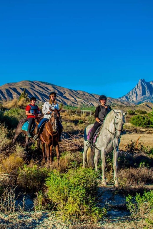 Villajoyosa Horseback Riding in the Mountains with sea views - Who Should Consider This Tour?