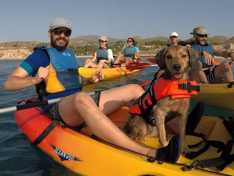 Villajoyosa: Kayaking with the man's best friend, your dog - The Sum Up
