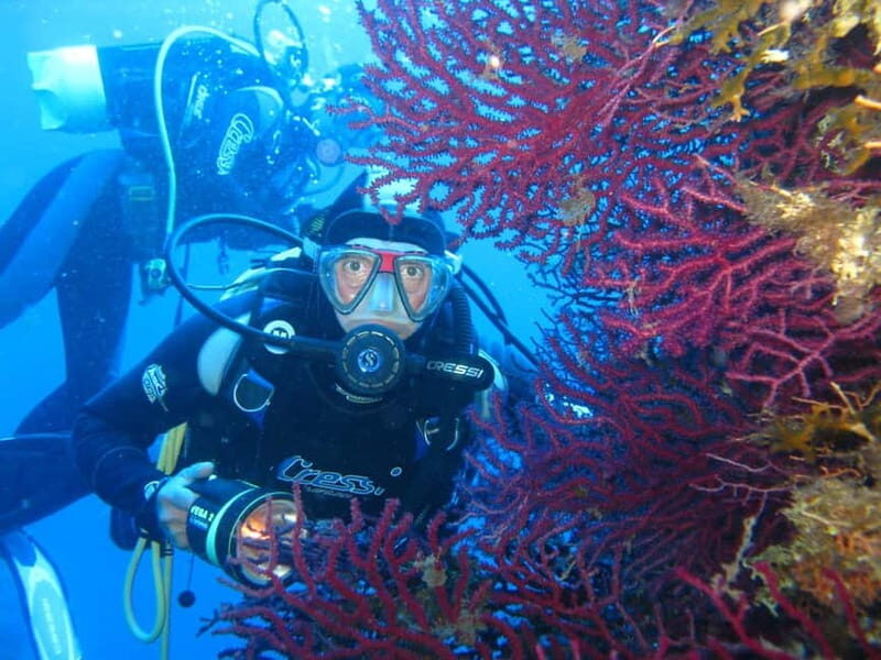Villasimius: Capo Carbonara Marvellous Guided Dive - An In-Depth Look at the Marine Experience
