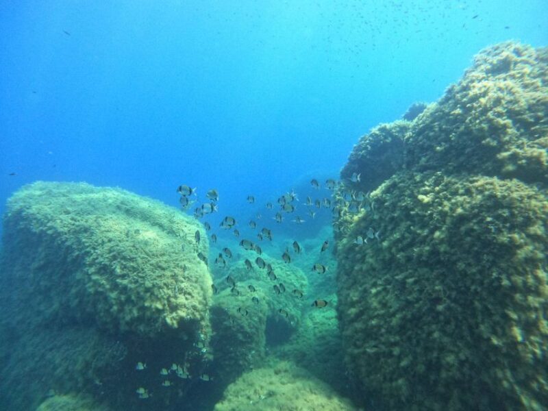 Villasimius: Scuba Dive in Capo Carbona without Certificate - Villasimius: Scuba Dive in Capo Carbonara without Certificate — A Practical Review