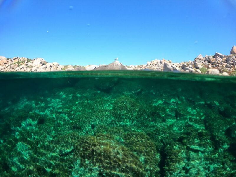 Villasimius: Scuba Dive in Capo Carbona without Certificate - Why This Tour Offers Real Value