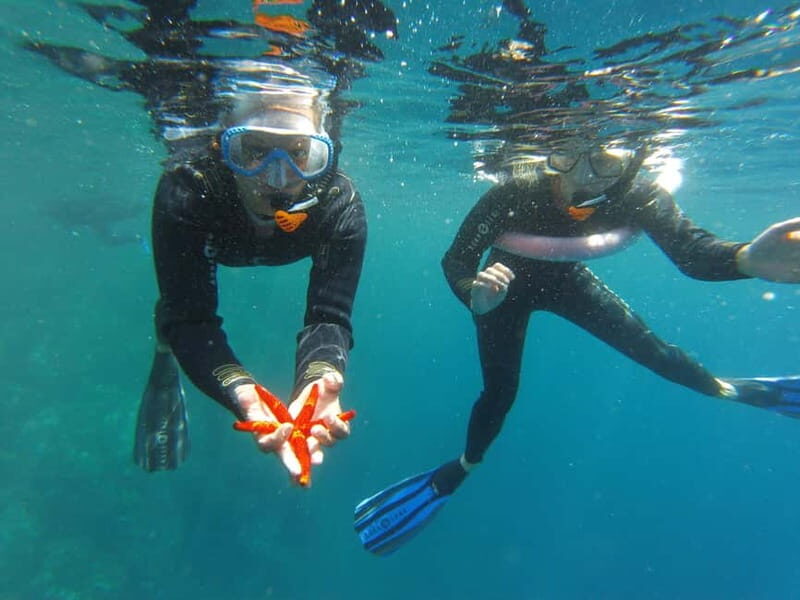 Villefranche-sur-Mer: guided snorkeling to discover the aquatic world - Why This Snorkeling Tour Stands Out