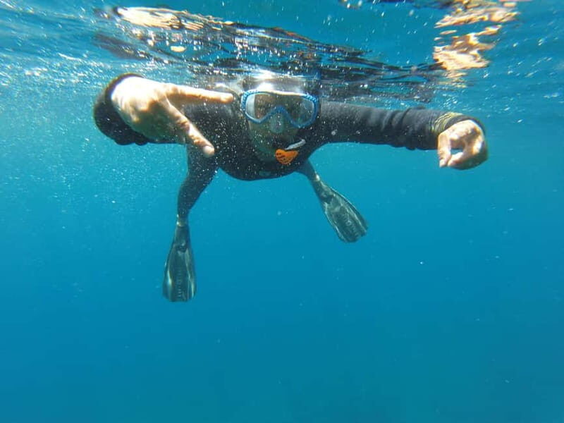 Villefranche-sur-Mer: guided snorkeling to discover the aquatic world - What’s Included and What to Bring