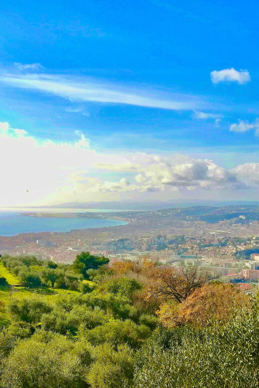 Villefranche Walking: Citadel, Old Town & Royal Port - Who Should Consider This Tour?