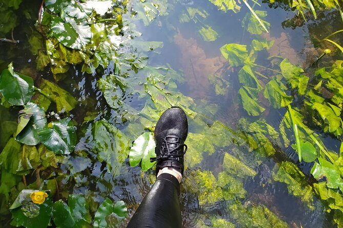 Vilnele River Walking Tour and Uzupis Experience - Key Points