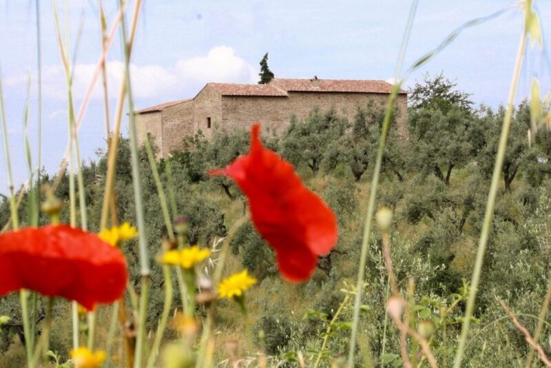 Vinci: Entrance to the Leonardo's Birthplace - Who Will Love This Tour?
