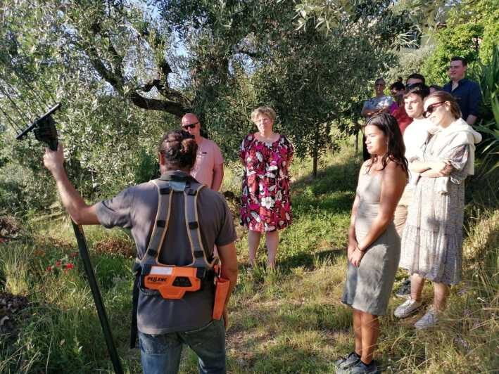 Vinci: Homemade Dinner and Oil Tasting Tour in a Tuscan Farm - Final Thoughts
