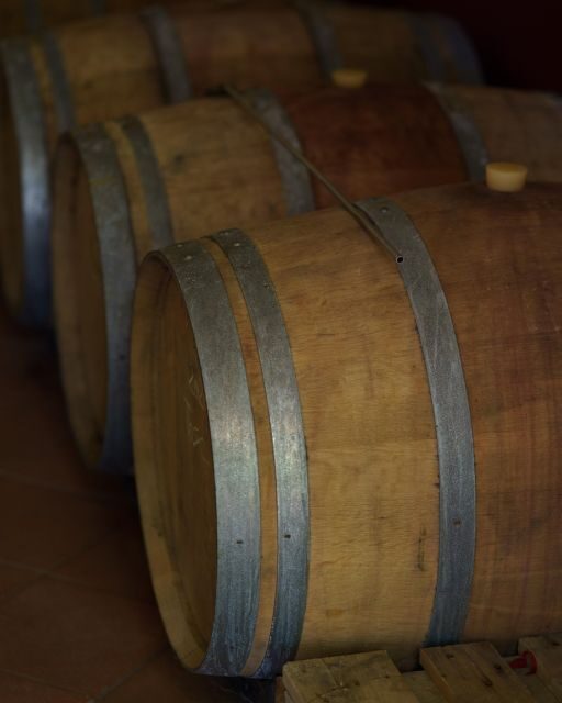 Vinci: wine-experience among the Tuscan hills - An In-Depth Look at the Tour