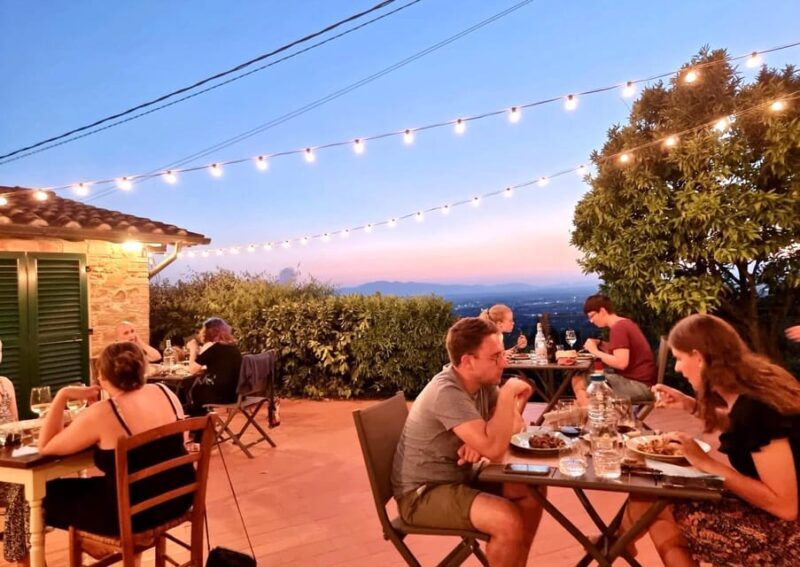 Vinci: Wine Tasting & Local Tuscan Food Dinner - Key Points