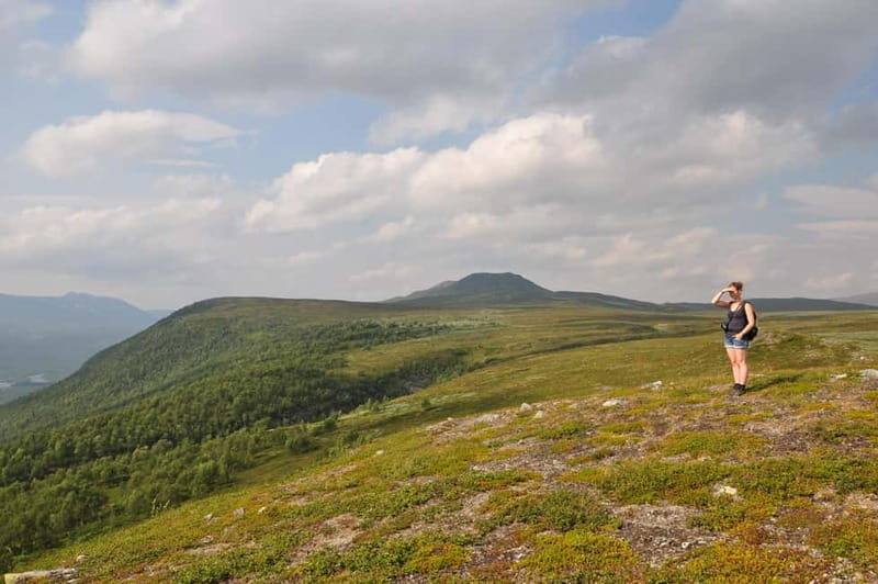 Vindelfjäll nature reserve: A walk through reindeer country - Key Points