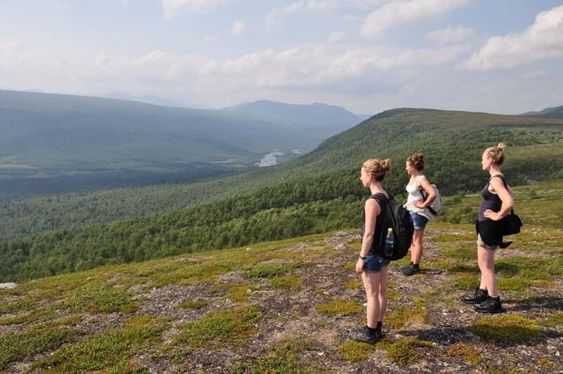 Vindelfjäll nature reserve: A walk through reindeer country - An Authentic Trek through Swedish Lapland