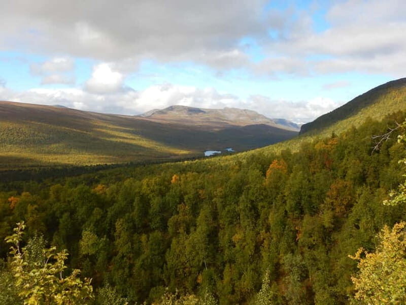 Vindelfjäll nature reserve: A walk through reindeer country - Logistics and Practical Tips