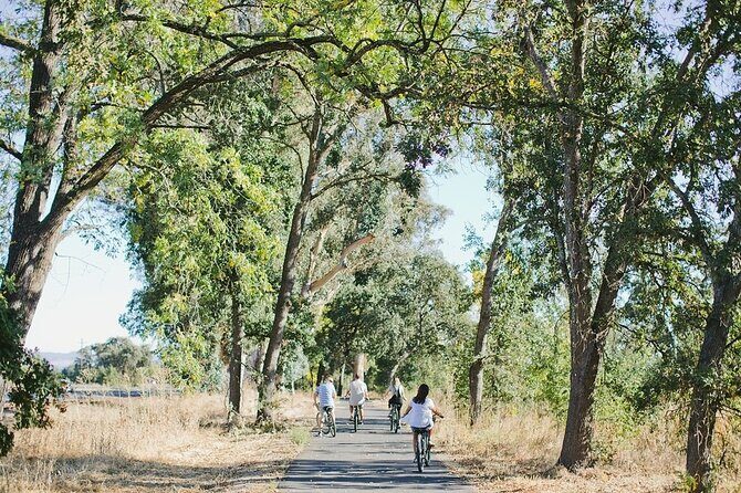 Vine Trail Discovery E-Bike Tour - A Detailed Look at the Experience