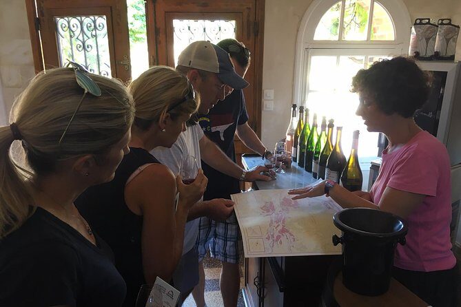 Vineyard cycle tours in and around Chinon, in the Loire Valley - Exploring the Loire’s Hidden Gem: Vineyard Cycle Tours in Chinon