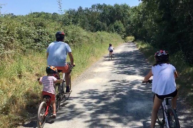 Vineyard cycle tours in and around Chinon, in the Loire Valley - Concluding: Who Should Consider This Tour?