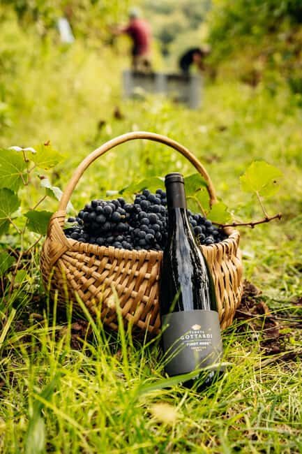vineyard experience - Why It Works for Travelers