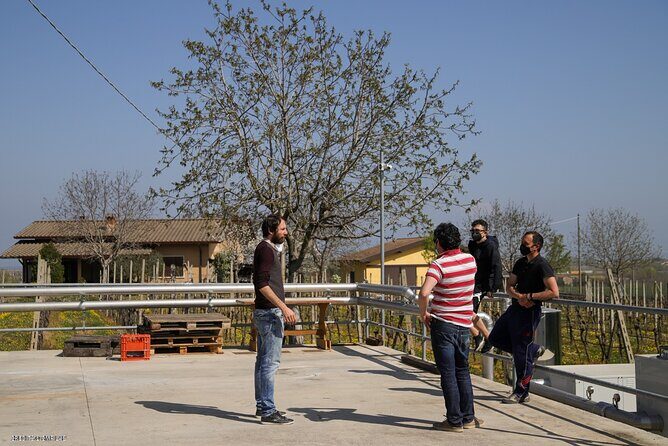 Vineyard Tour and Tasting of Lugana Wines - Who Will Enjoy This Tour Most?