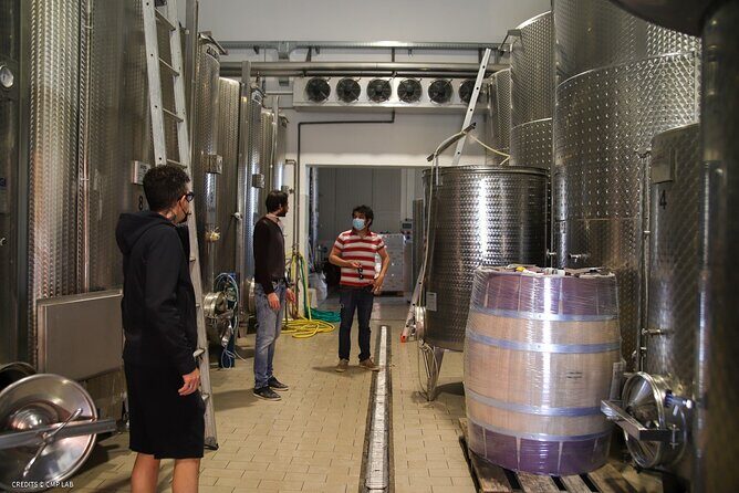 Vineyard Tour and Tasting of Lugana Wines - FAQ