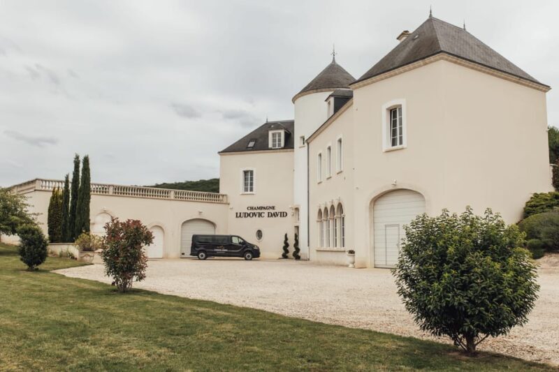 Vineyard tour and Tasting with Champagne Ludovic David - What You Can Expect