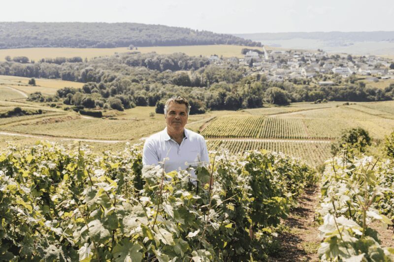 Vineyard tour and Tasting with Champagne Ludovic David - Practical Details for Travelers