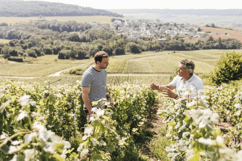 Vineyard tour and Tasting with Champagne Ludovic David - Customer Perspective and Authentic Feedback