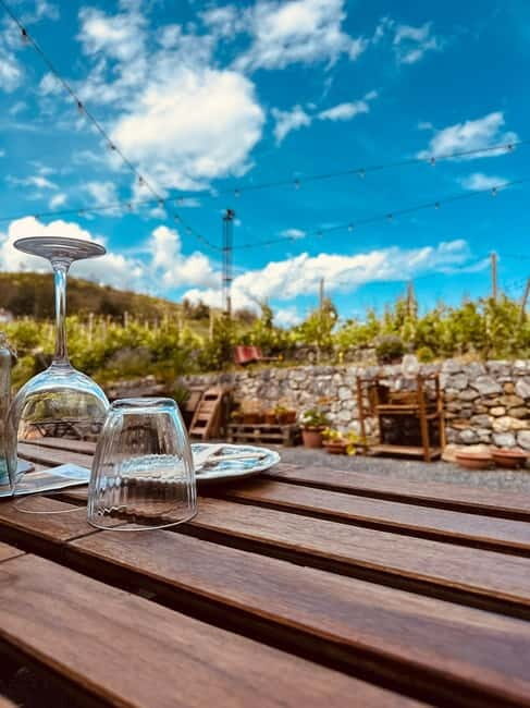 Vineyard Tour and Wine Tasting - Price and Value Analysis
