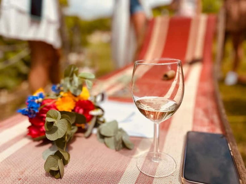 Vineyard Tour and Wine Tasting - The Sum Up