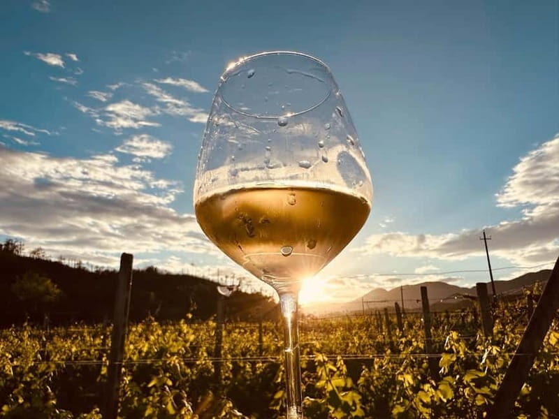 Vineyard Tour and Wine Tasting - FAQ