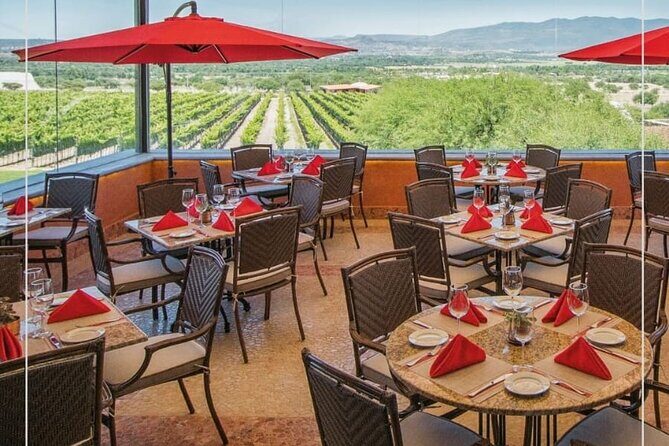 Vineyard, tour, tasting and fun in San Miguel de Allende - The Experience: An In-Depth Look at the Vineyard Tour