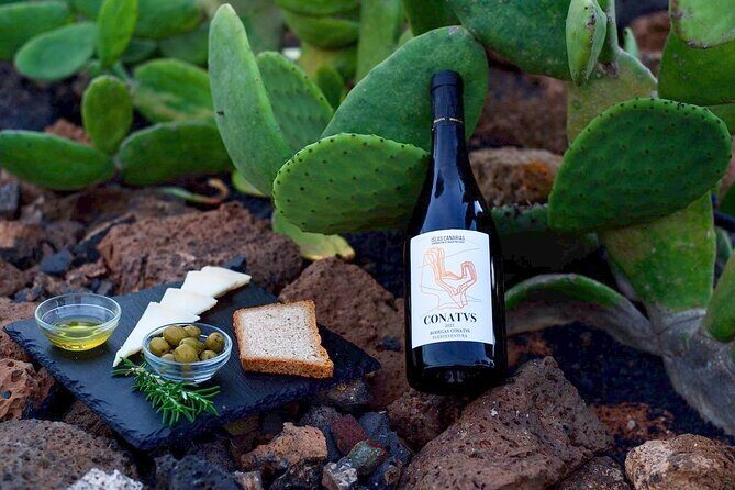 Vineyard tour with wine tasting and local products - The Vineyard and Production Process