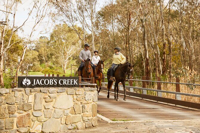 Vineyard Trail Ride and Taste at Jacobs Creek - What to Expect During the Ride