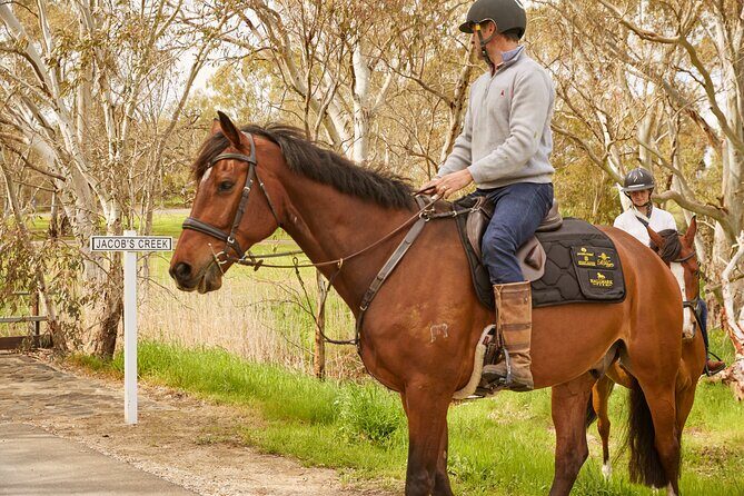 Vineyard Trail Ride and Taste at Jacobs Creek - Practical Details and Booking