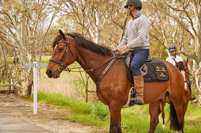 Vineyard Trail Ride and Taste at Jacobs Creek - Who Will Love This Tour?