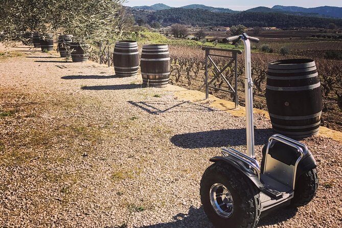 Vineyard visit in Gyropode, visit of Cave & Tasting Wines of Bandol - Introducing the Vineyard Tour in Gyropode, Cave Visit & Wine Tasting of Bandol