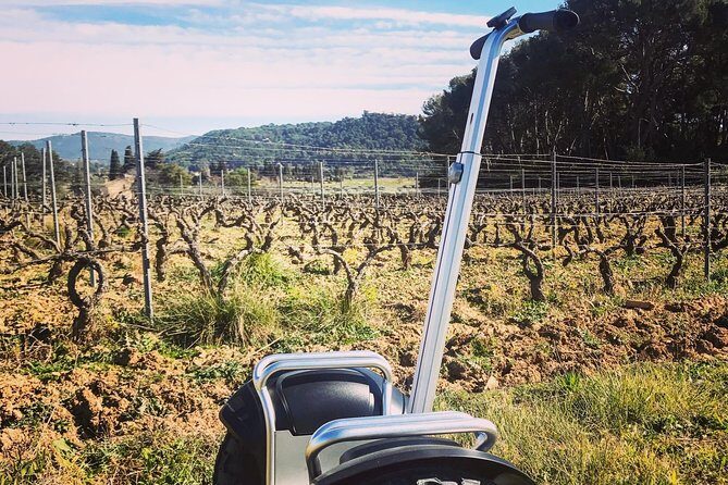 Vineyard visit in Gyropode, visit of Cave & Tasting Wines of Bandol - Key Points